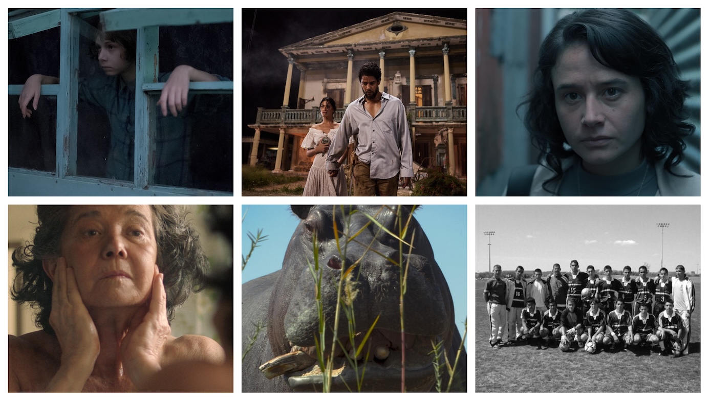 6 de los 12 largometrajes seleccionados para la competición oficial del ...